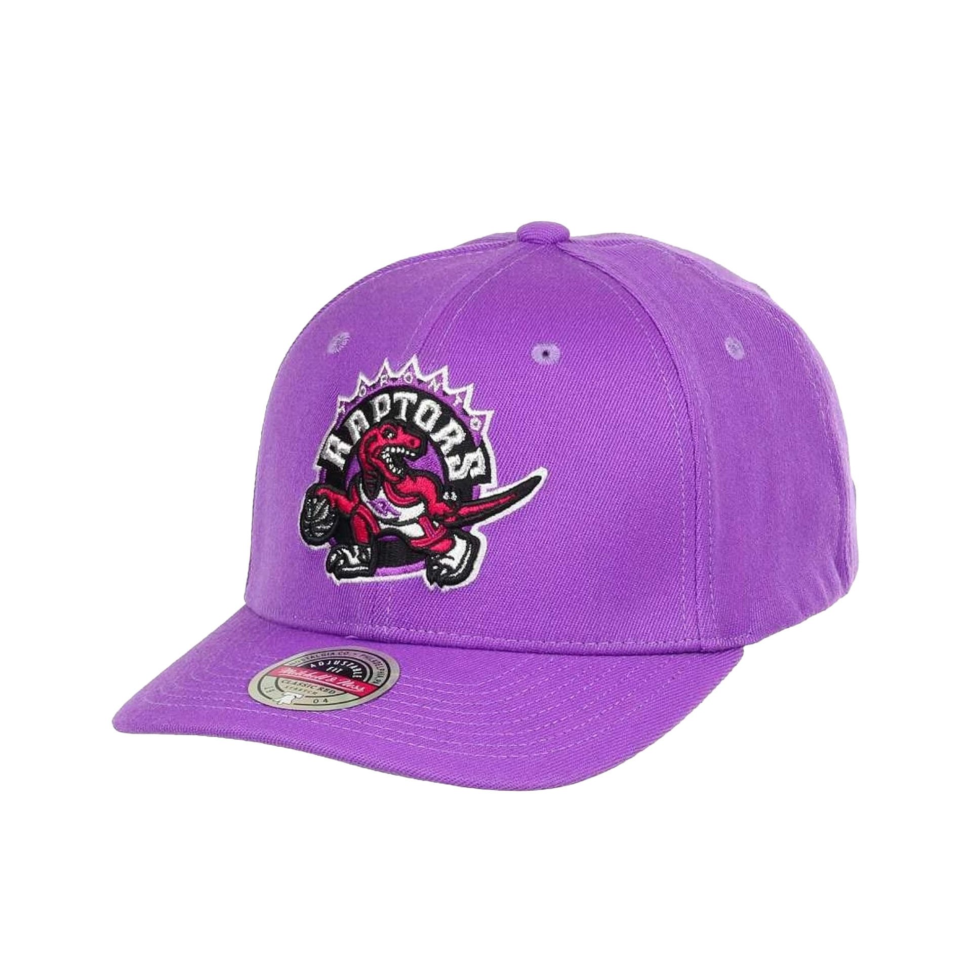 Toronto Raptors HWC Team Ground 2.0 Snapback - product 3258-TRAY | Airdom